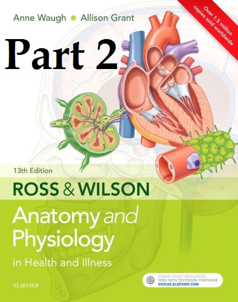 Anatomy Physiology Part 2 Contact